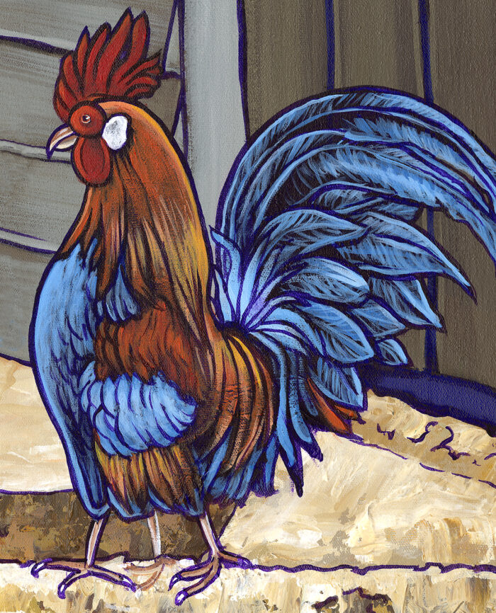 Gallo Fino - Rodez Art